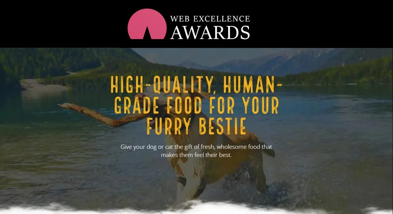 Thrive Design Wins Website Design Award for Work with Wild Coast Raw ...