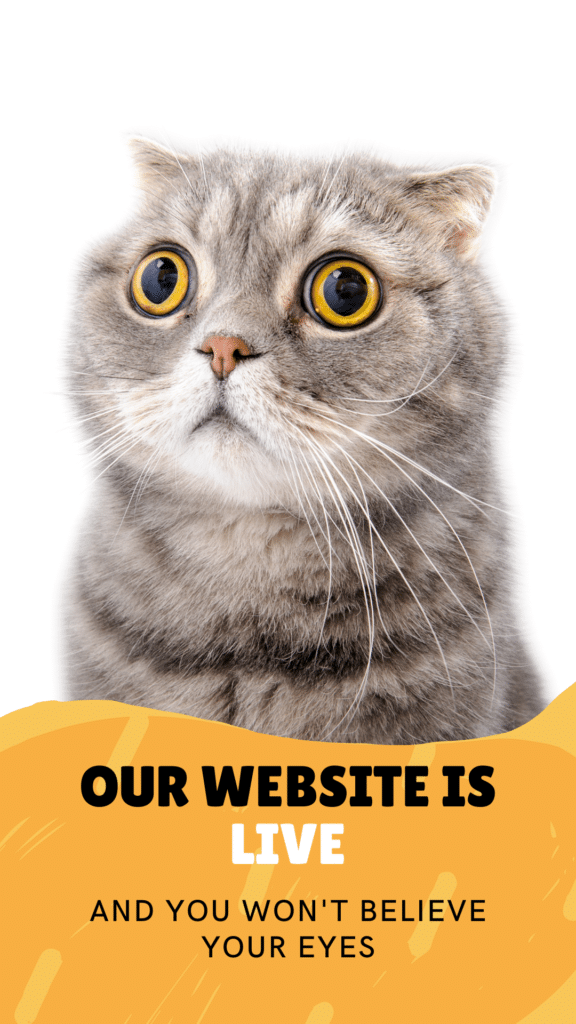 How Do You Announce a New Website Launch in 2021